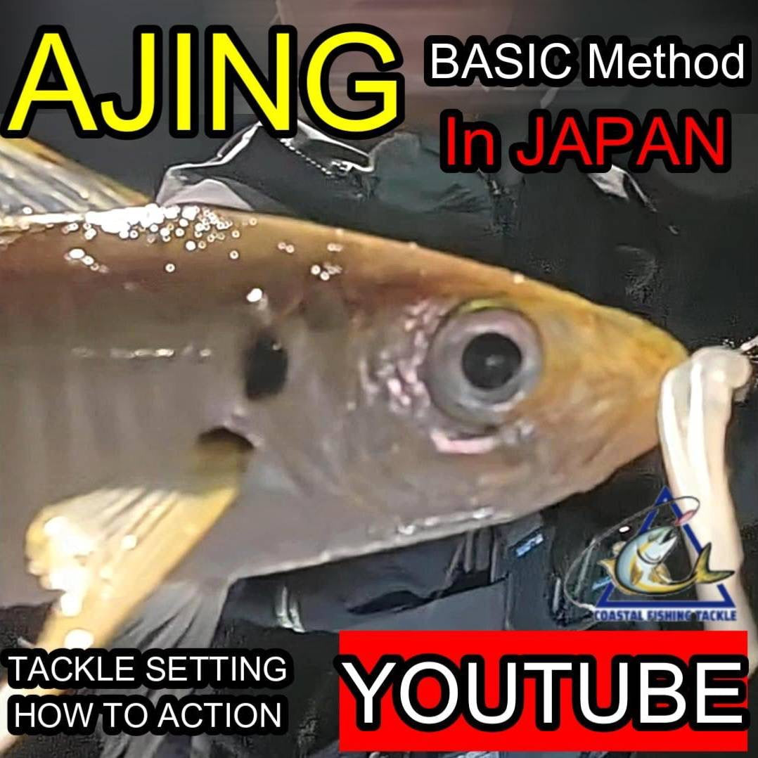 How to AJING - Japanese Style Light Game