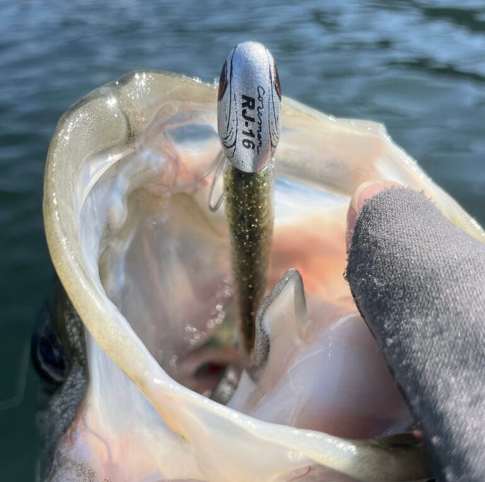 Ajing & Micro Lures